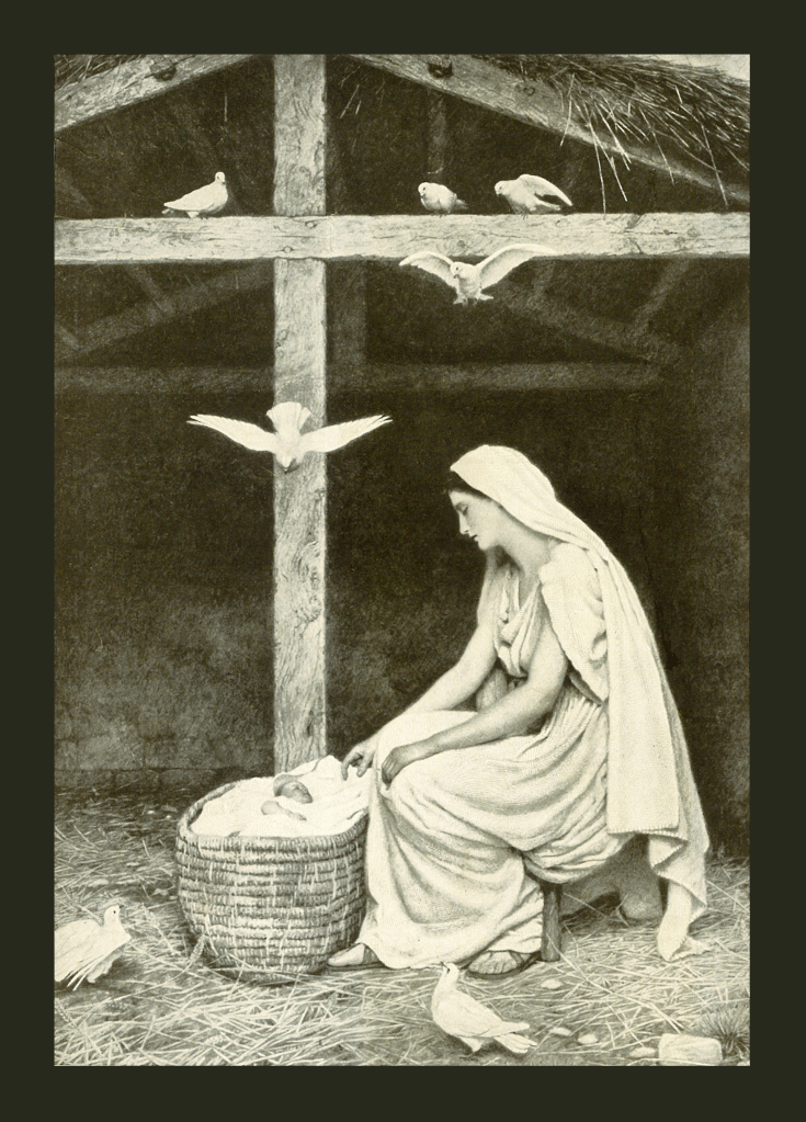 TERRA NULLIUS CHRISTIANS #1 – INNKEEPER DANIEL MADIGAN – Ways Of Being ...